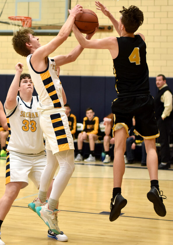 Hornets knocked out by Sherman | News, Sports, Jobs - Observer Today